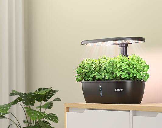 Litokam | Smart Camera Brand